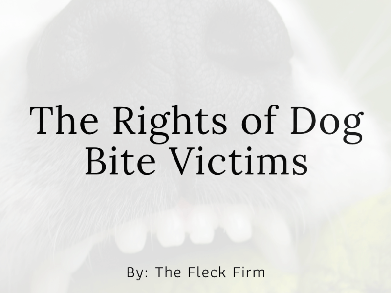 What Rights Do Dog Bite Victims Have? - The Fleck Firm, PLLC ...